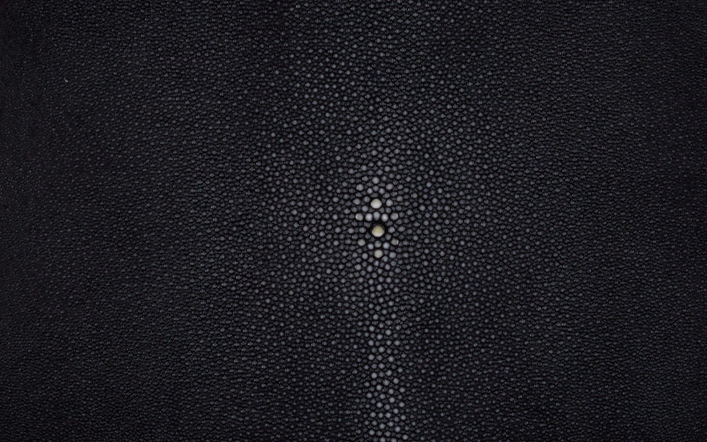 Shagreen | Black - Ortiz Milano