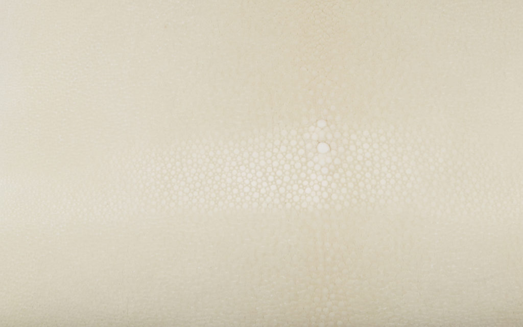 Shagreen | Cream - Ortiz Milano